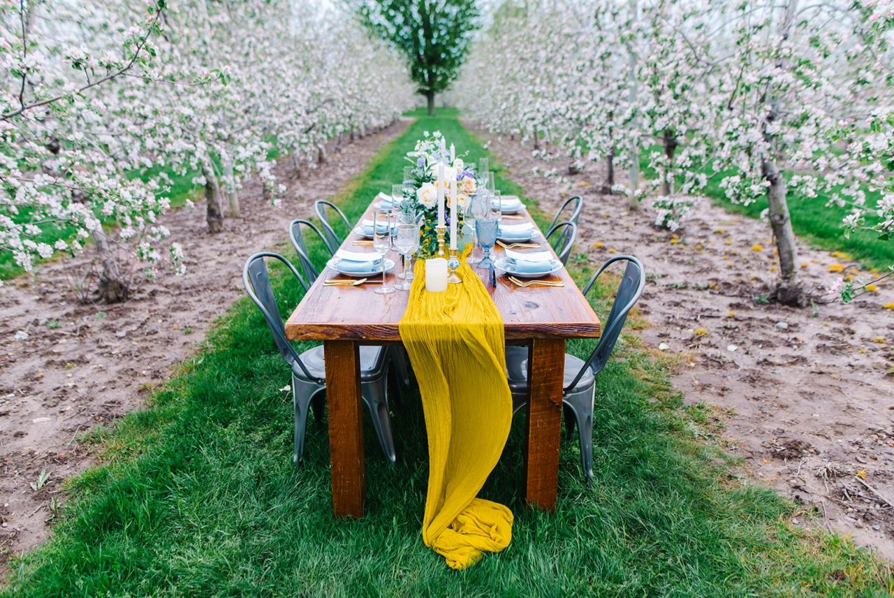 Our Process | The Rental Company | Alpine Events